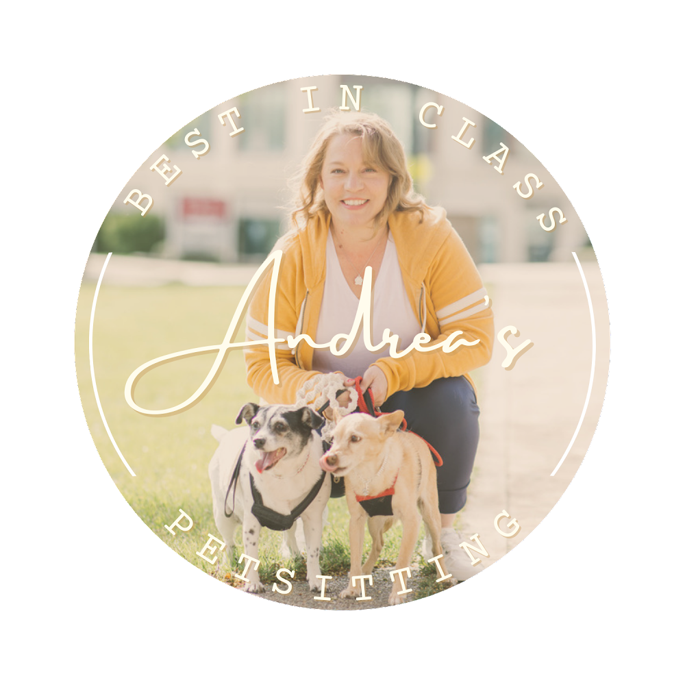 Best In Class Pet Sitting Best In Class Pet Sitting